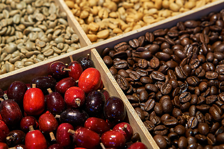 GIFT IDEAS | Buena Vista Roastery