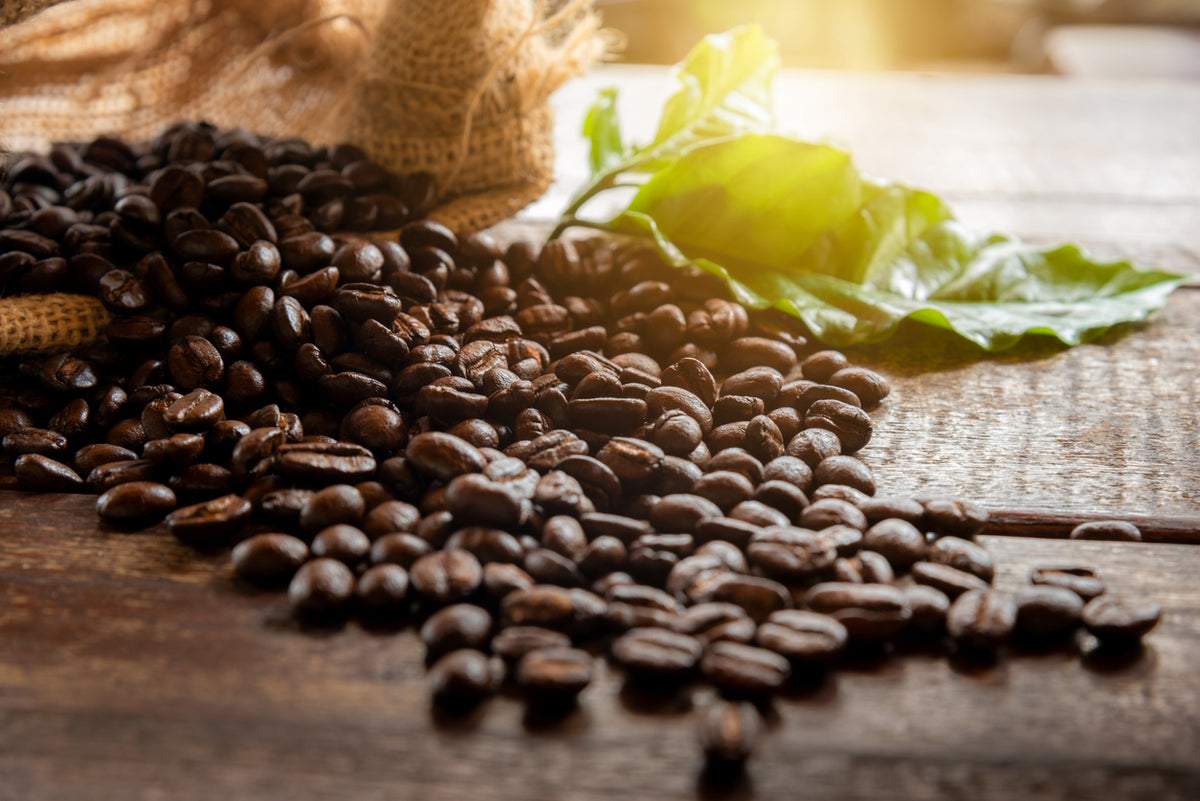 VIENNA ROAST ORGANIC | Buena Vista Roastery